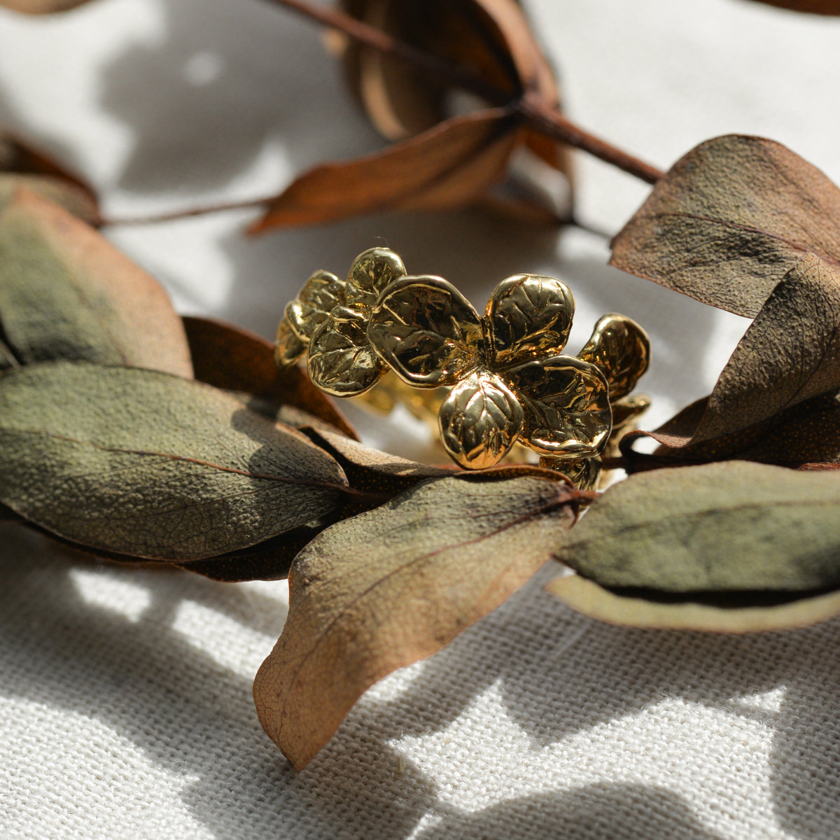 Echo Recycled Ring / Colours – Mon Pote