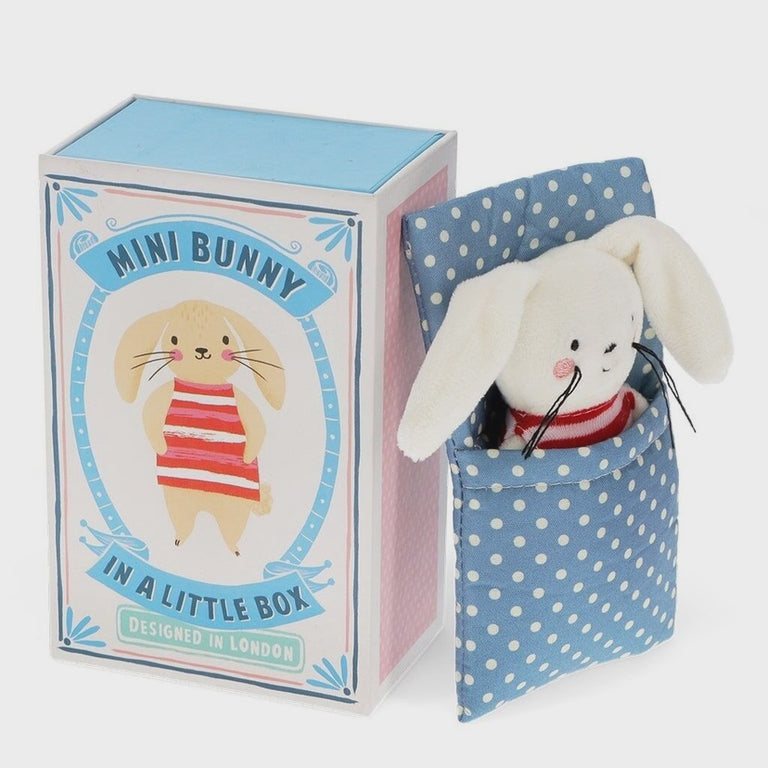 Mini Bunny in a Little Box – Mon Pote