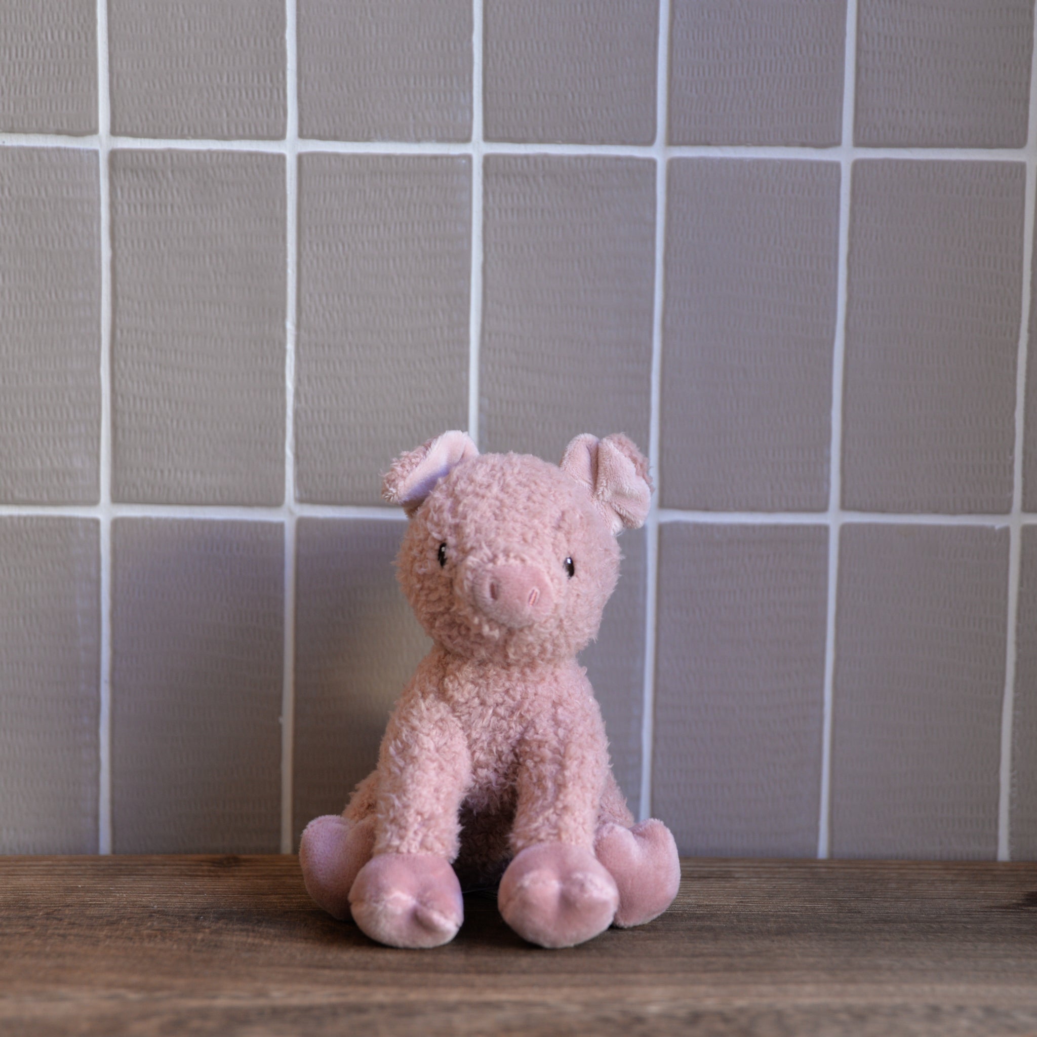 Cuddle Pig – Mon Pote